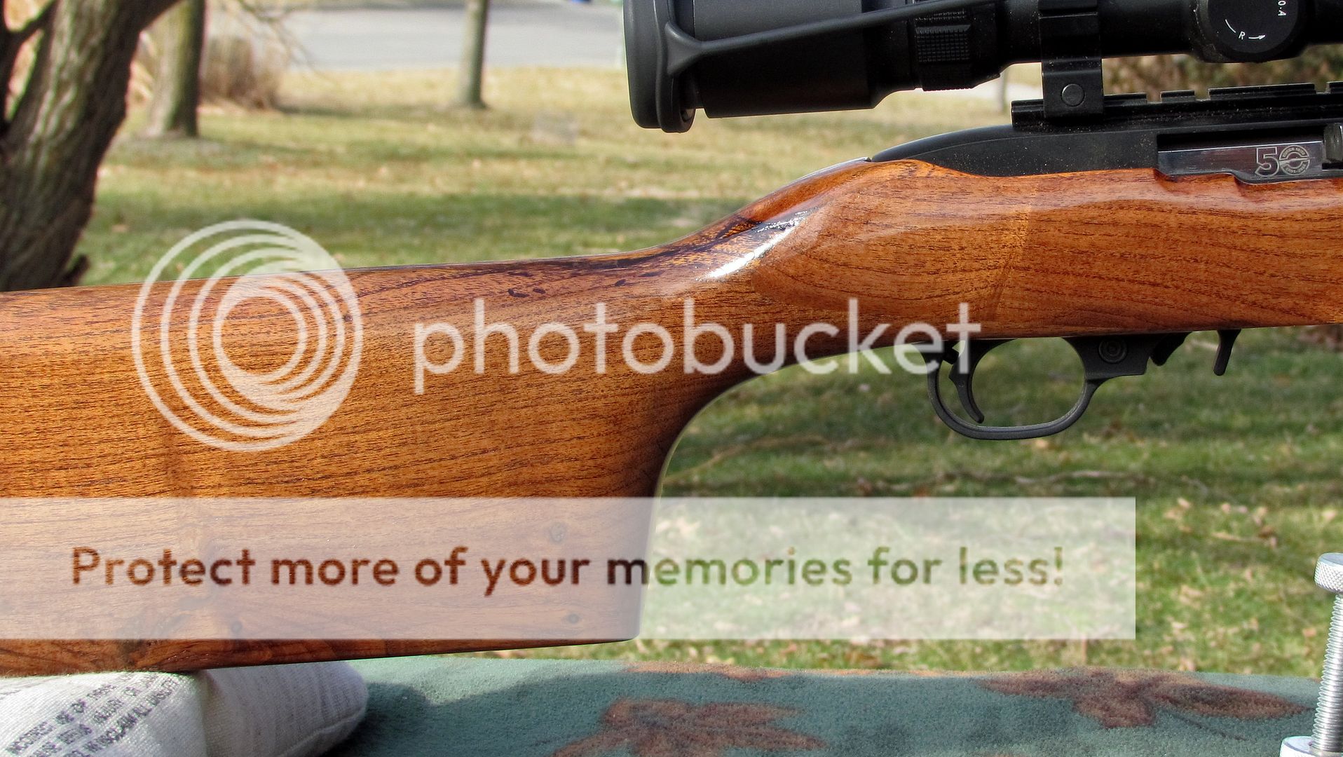 Stock 58 | Rimfire Central Firearm Forum